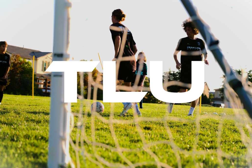 Private Soccer Lesson’s Day’s M-T-W-F-S - Team Lion United